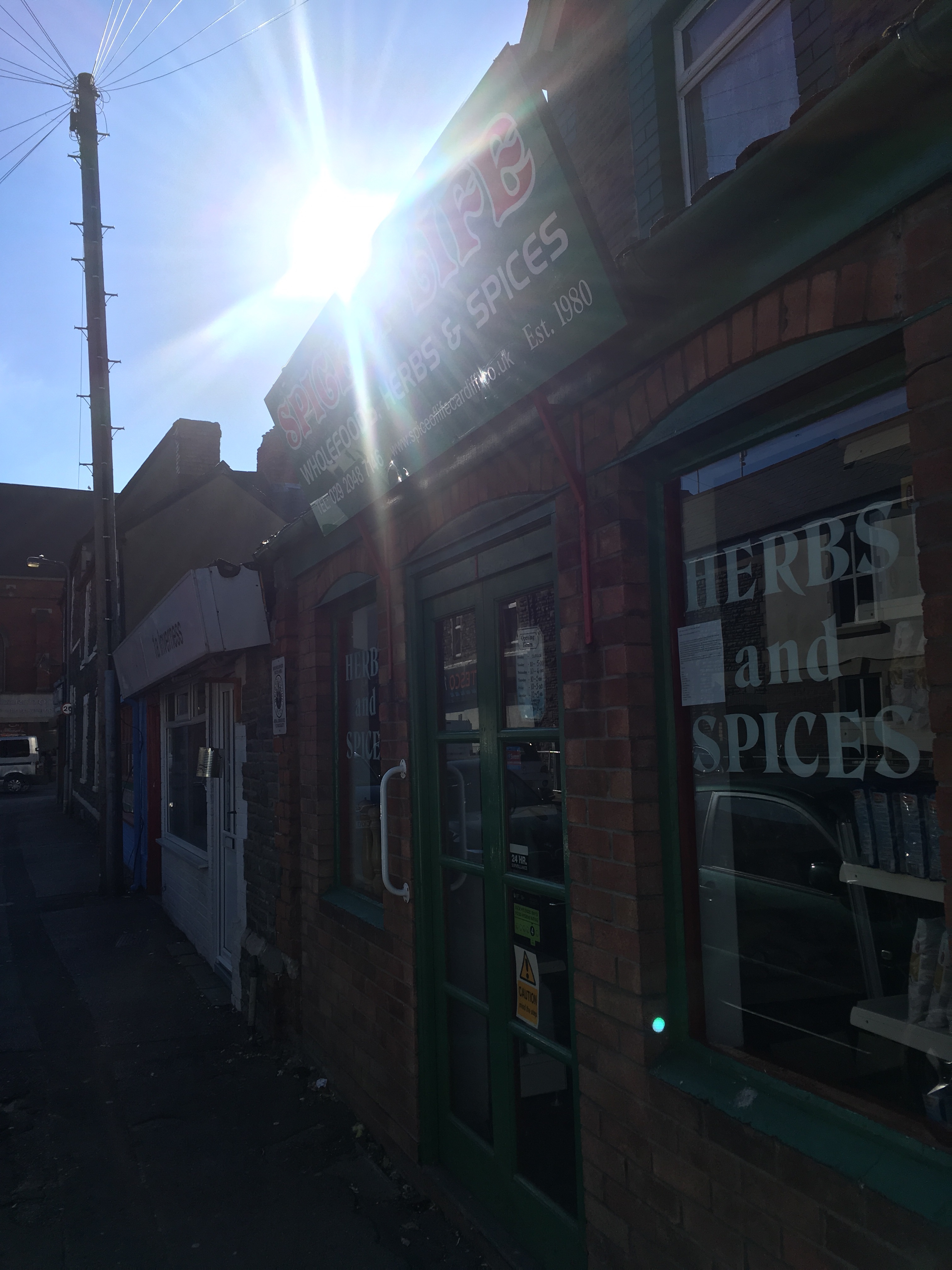 in residence | cat lewis artist