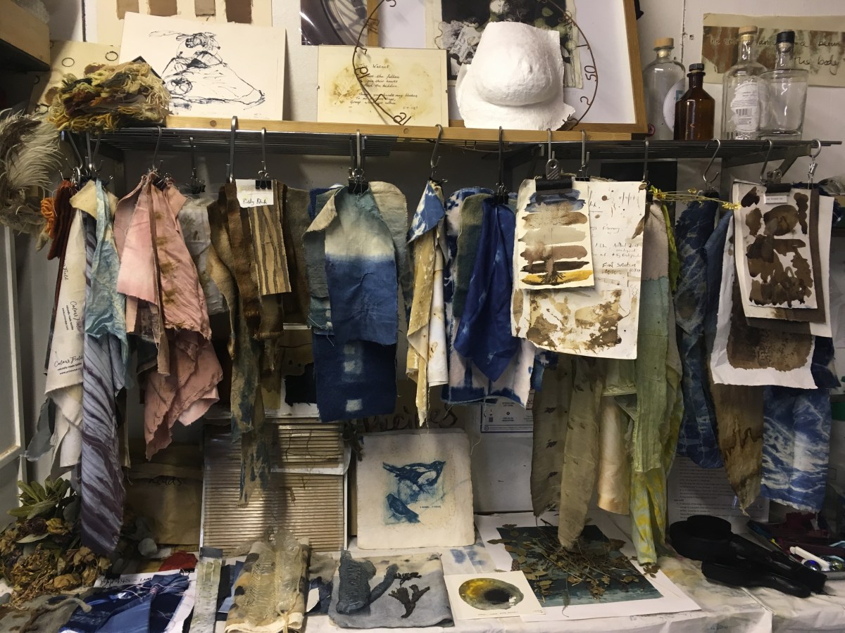 Bbc film | cat lewis artist